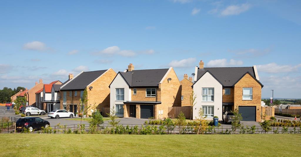 Bellway to cut volume by a third | News | Housing Today