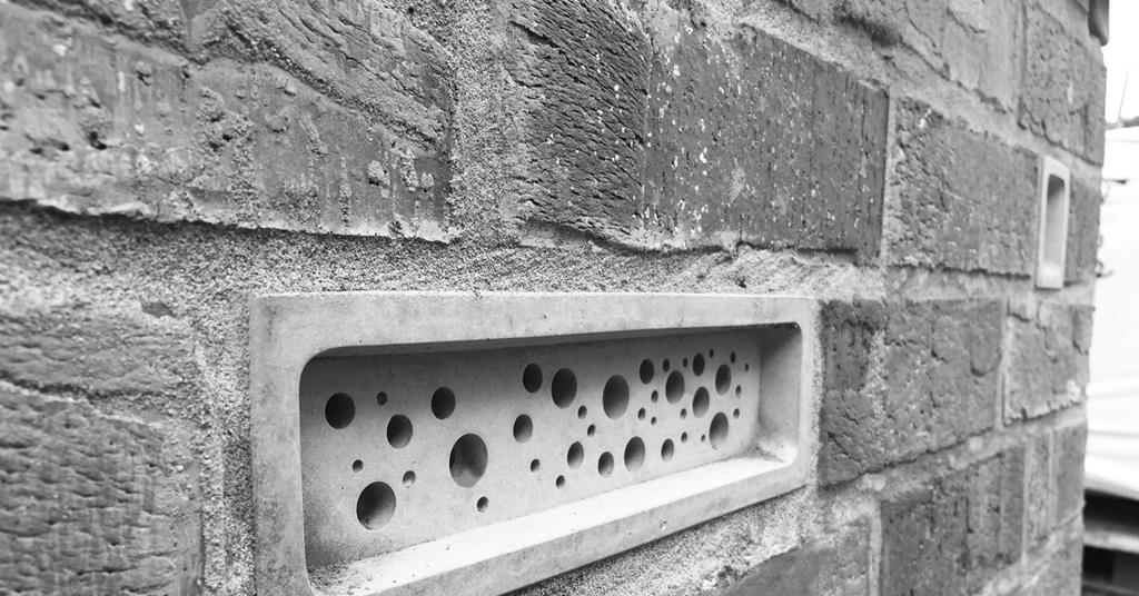 Brighton council makes ‘swift bricks’ mandatory | News | Housing Today